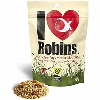 I Love Robins- Super Food. Jacobi Jayne – Pallatts Limited
